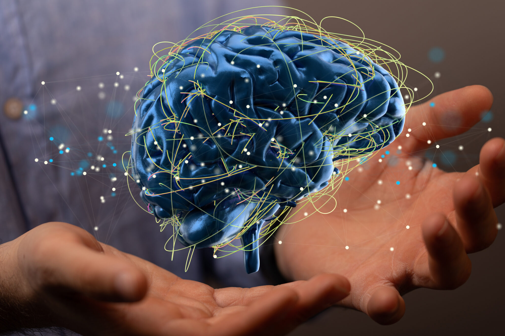 Brain Science in Schools Explained at Navriti School